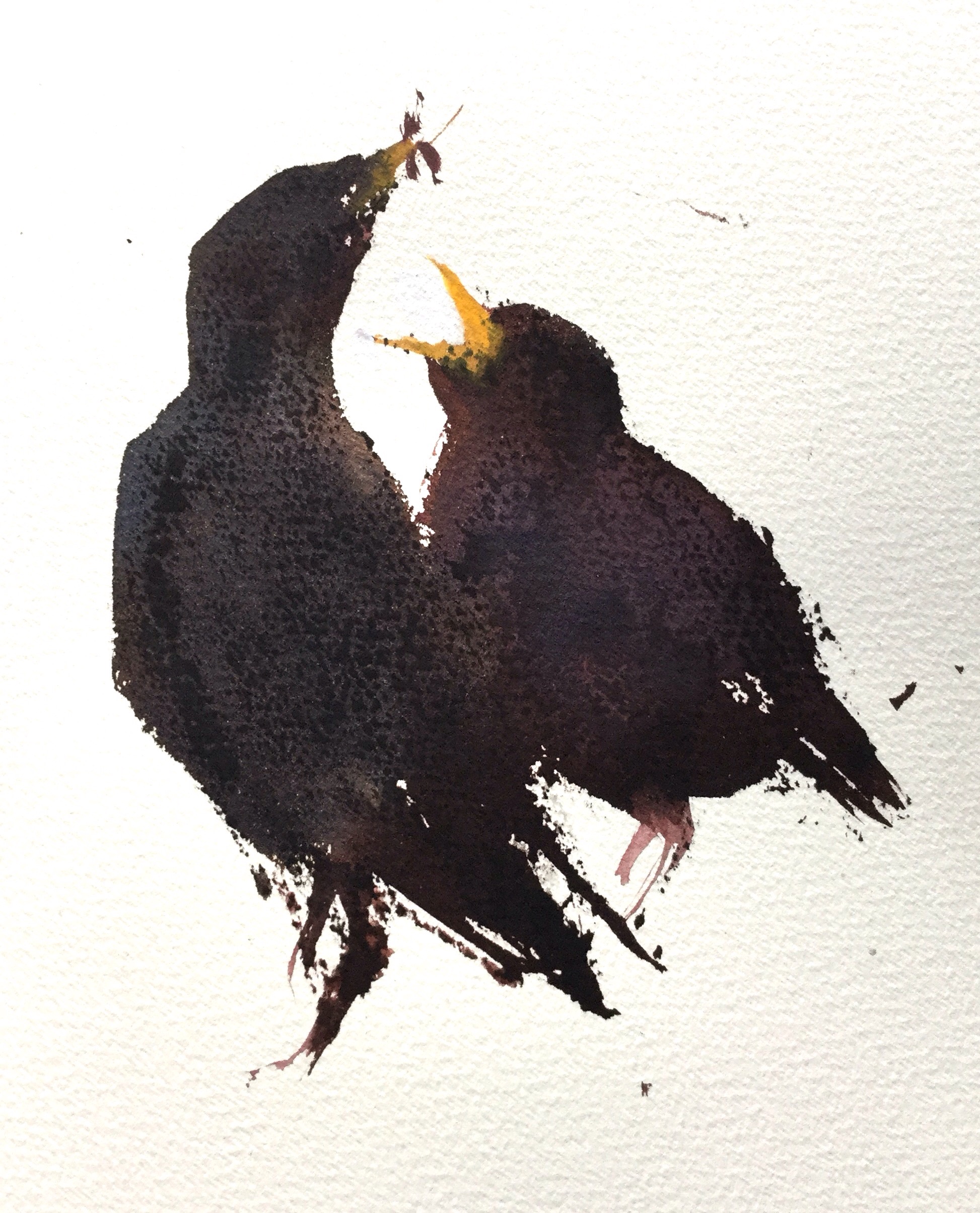 Ink & Quink | kateosborne